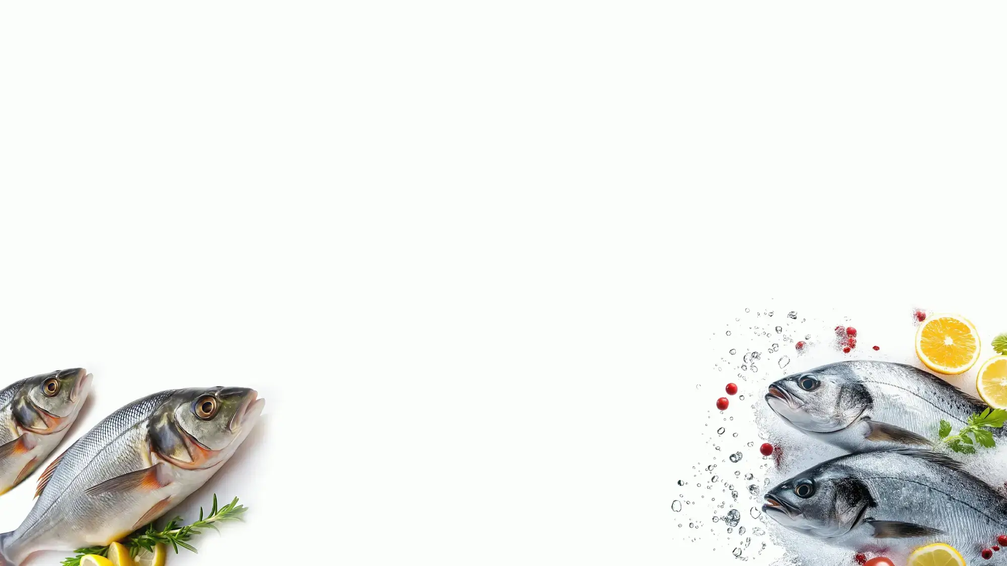 Shop Premium Quality Fresh Fish, River Fish, Sea Fish, Haor-Beel Fish ...